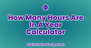 How Many Hours Are In A Year Calculator