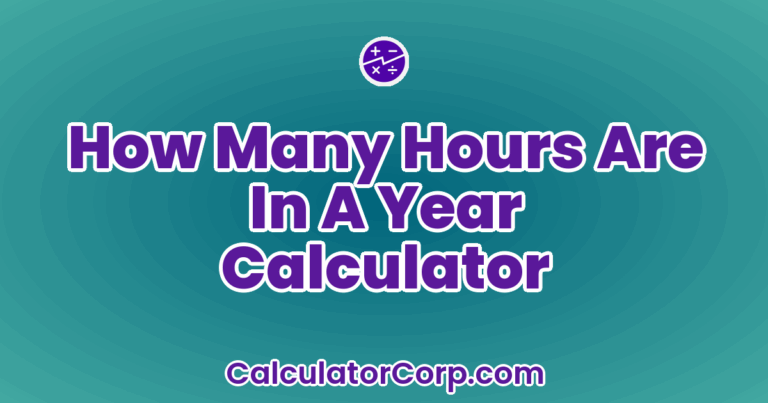 How Many Hours Are In A Year Calculator